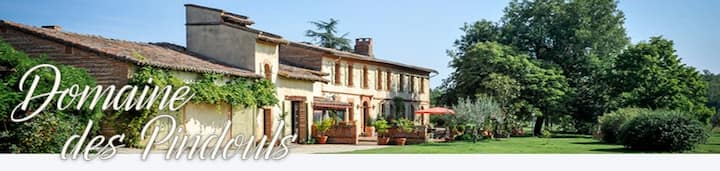 Le Domaine Des  Pindouls,  Jusqu'à 7 Personnes - Bruguières