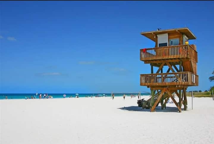 Little Charm-close To Ami-img Academy-gt Bray Park - Bradenton, FL