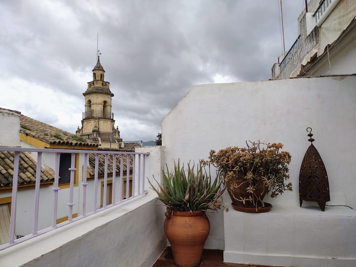 Precioso Atico Junto A La Magdalena - Córdoba