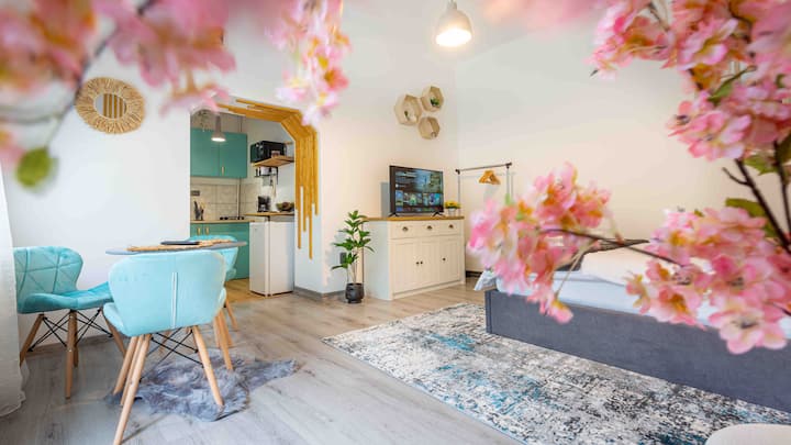 Sun X Mountains - Black Church - Brașov