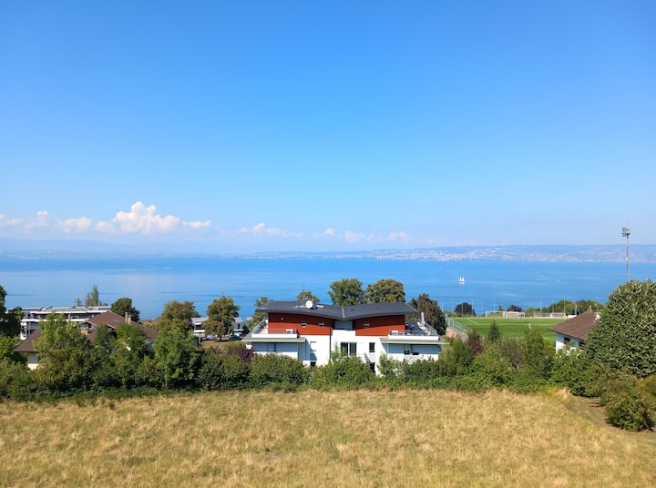 Magnifique Vue Lac T2 Avec Place De Parking - Évian-les-Bains