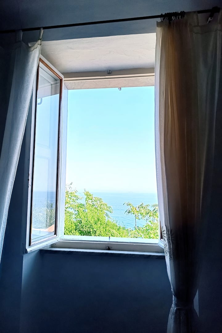 Cetolone House - Rio