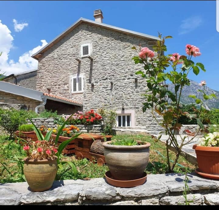 Guest House Maza - Montenegro