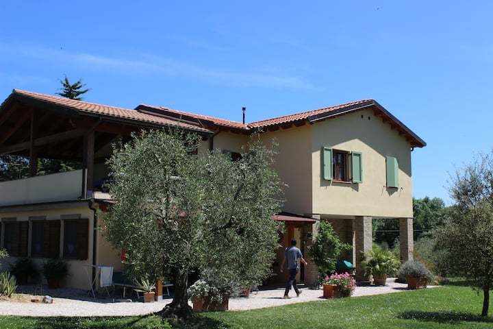 Quiet Apartment In Olive Grove - Gavorrano