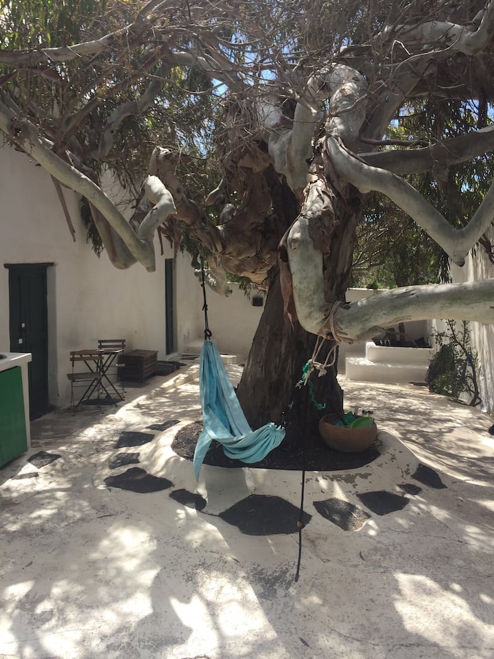 Studio Iii At Orig. Finca,, Sea Views - Lanzarote