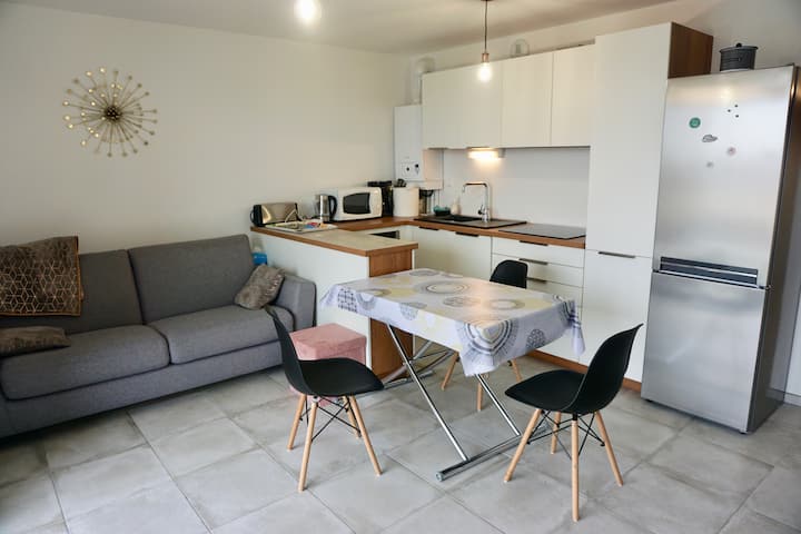 Appartement T2 Neuf En Centre Ville De Vannes - Séné