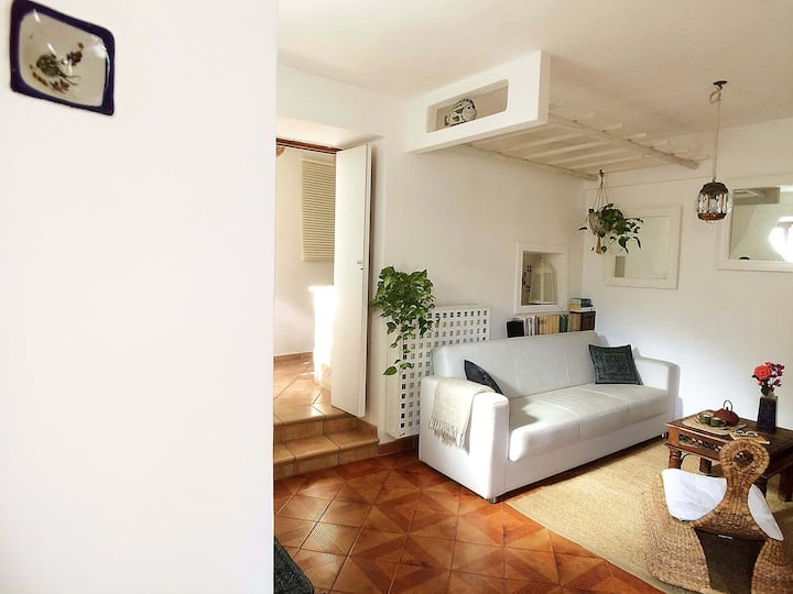 Apartment 500 Mt From The Beach - San Felice Circeo