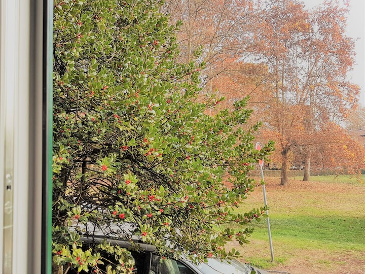 Incantevole E Tranquillo Immerso Nel Verde - Turin