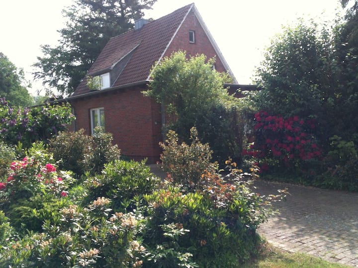 Kunstrefugium - Uriges Ferienhaus Löningen - Löningen