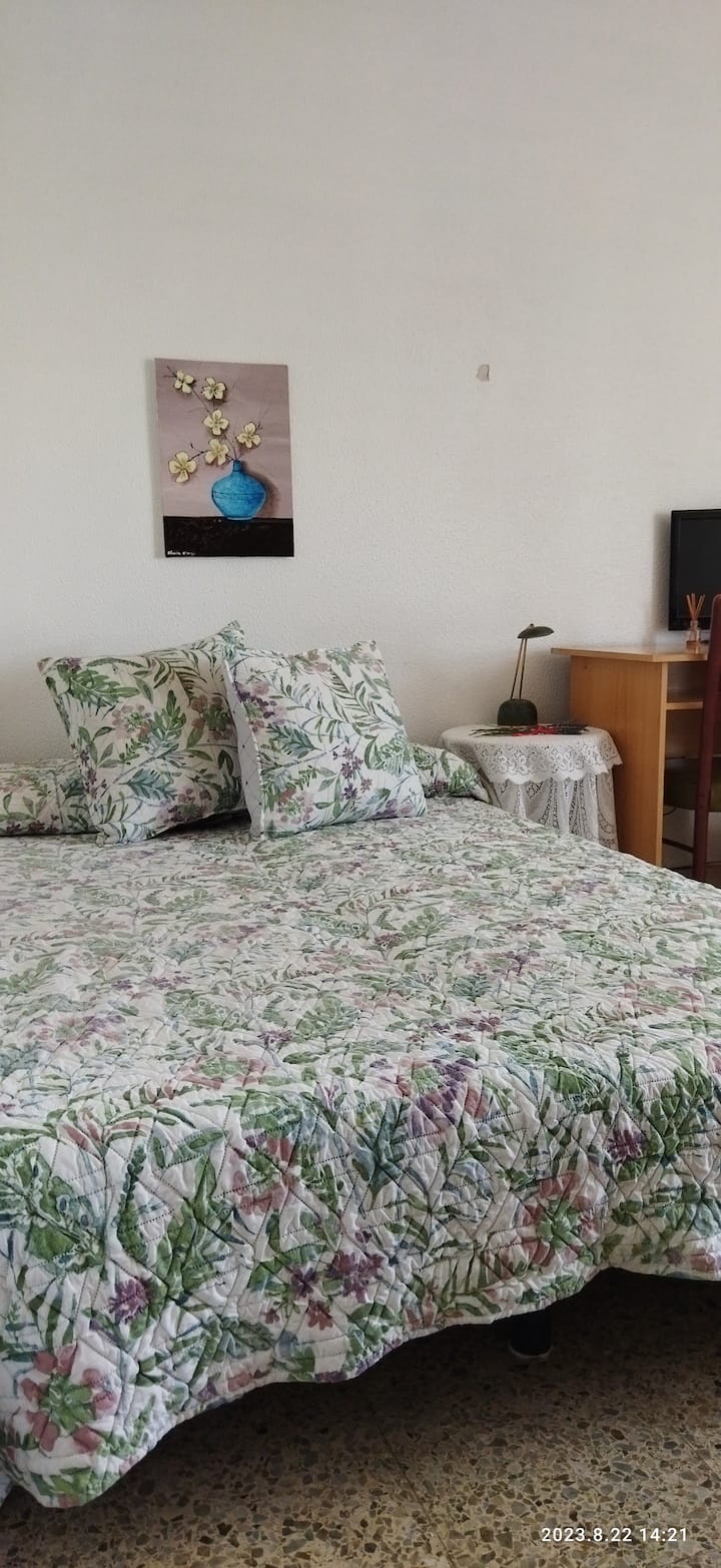 Habitación Tranquila. - Palencia