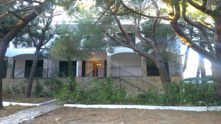 Llanca - Catalunya- Vacance Famille - Llançà