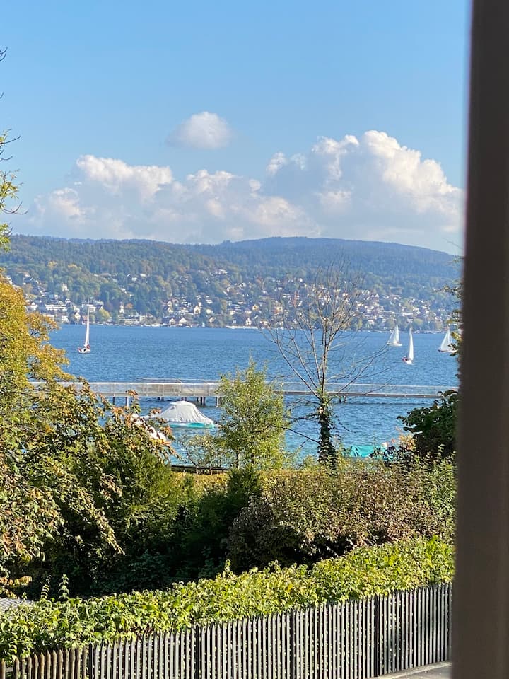 Historic Renovated Chalet In Zurich 4rooms/1.5bath - Zürich