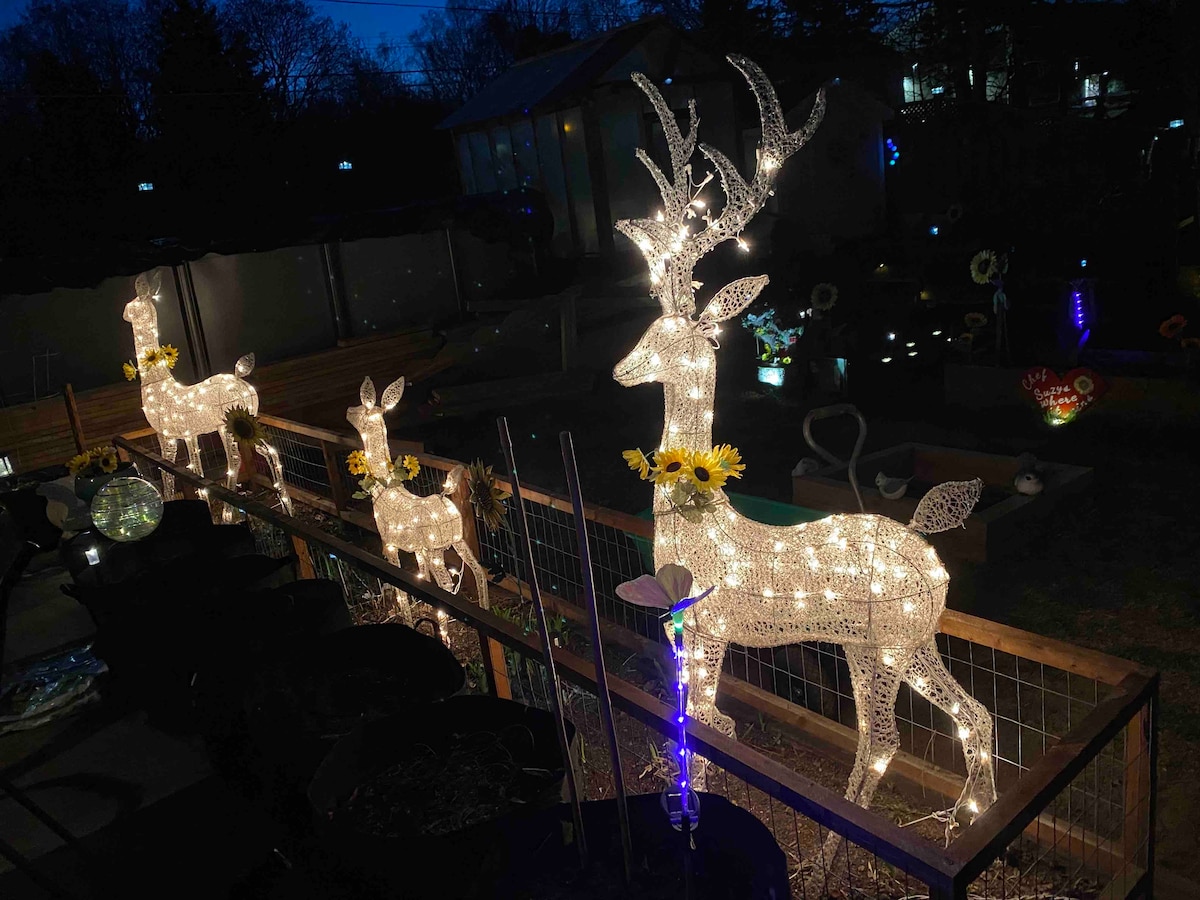 500+ Thunder Bay Vacation Rentals | Houses and Apartments | Airbnb