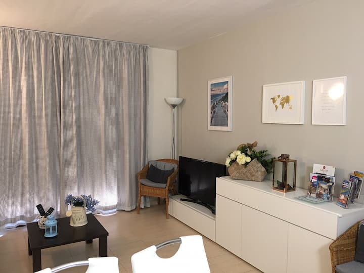 Girasoles  Con Wifi A Tv Parabolic - Cambrils