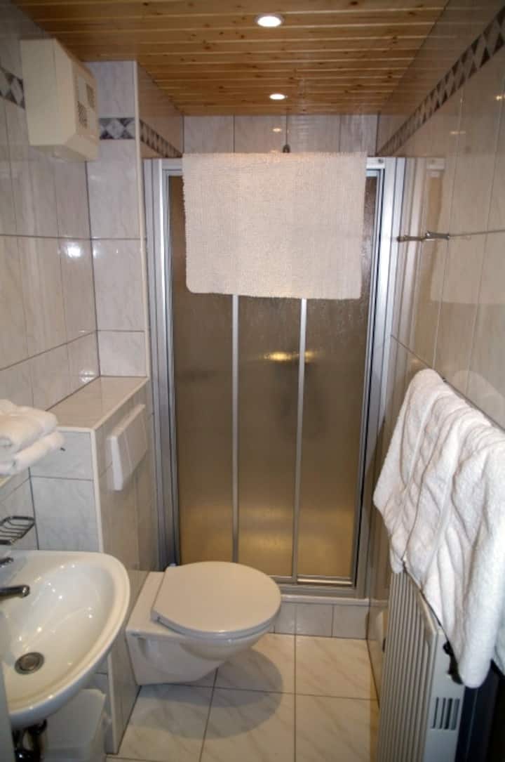 Double-room With Balcony - Hallstatt