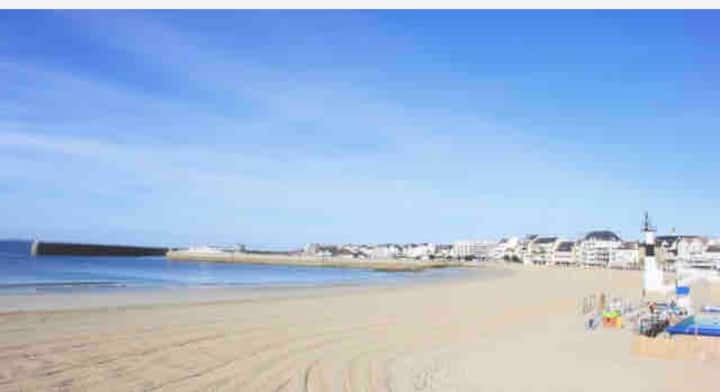 Plage Côte Sauvage Centre Tout à Pied2 - Belle-Île-en-Mer