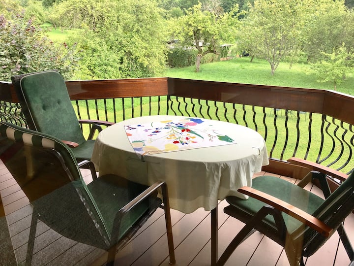 Bel Appartement Mansardé Avec Balcon - Tübingen