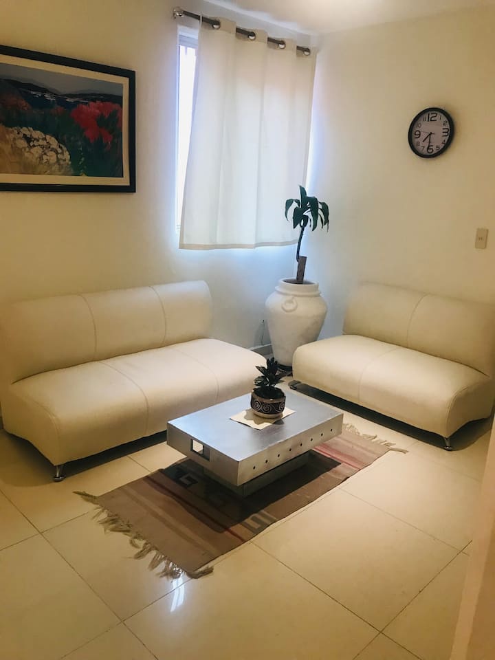 Foro Sol Departamento Completo En Condominio - Benito Juarez