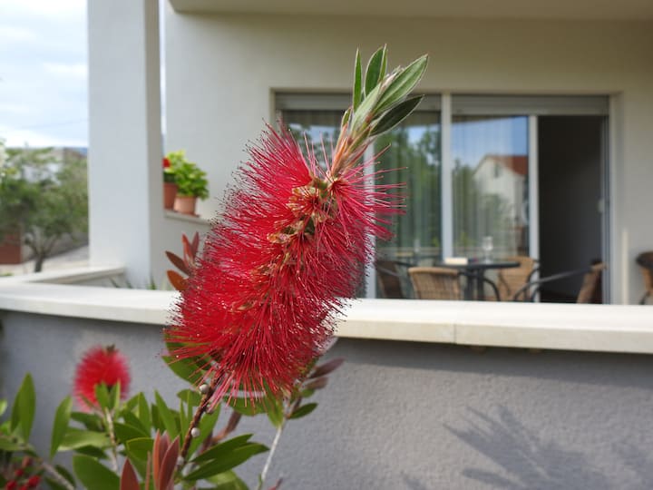 Sunny Apartment Near Split - Arbanija