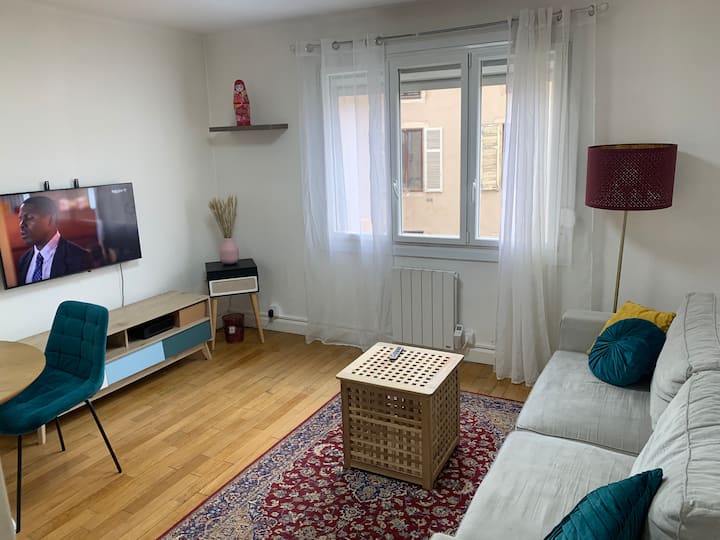 Appartement Cosy F3 Proche Du Parc De La Pépinière - Nancy