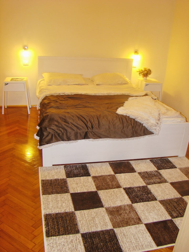 Cozy Apartment By The Ancient Walls In Timisoara - Timișoara