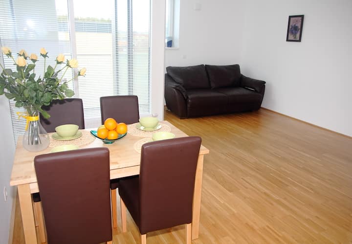 Schönbrunn 2-rooms Apartment With Balcony - Viyana