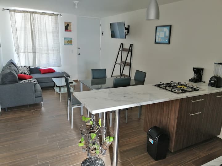 Departamento Moderno - Aguascalientes