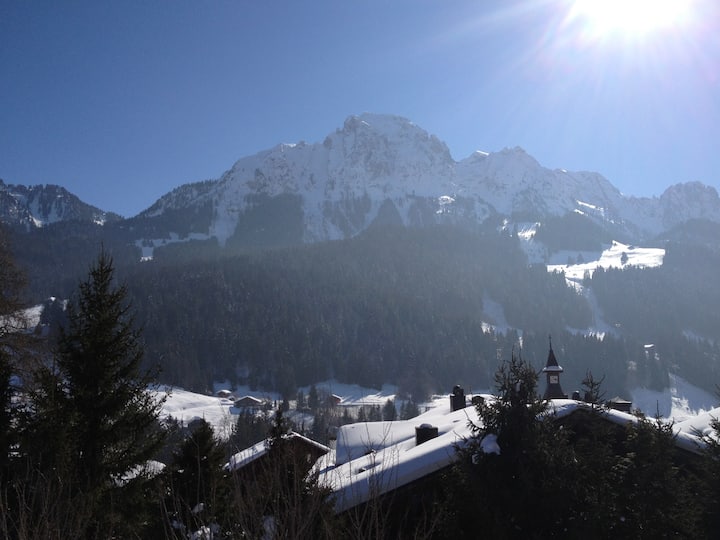 Appartement En Duplex A Gstaad - Rougemont