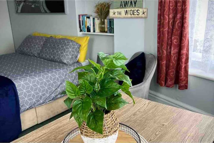 The Den - Folkestone