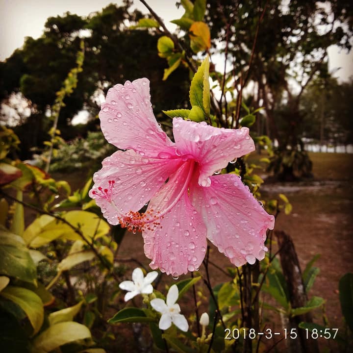 Setiu District Vacation Rentals & Homes - Terengganu, Malaysia | Airbnb