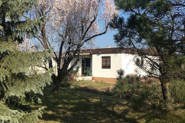 Bungalow Am See - Wiener Neustadt