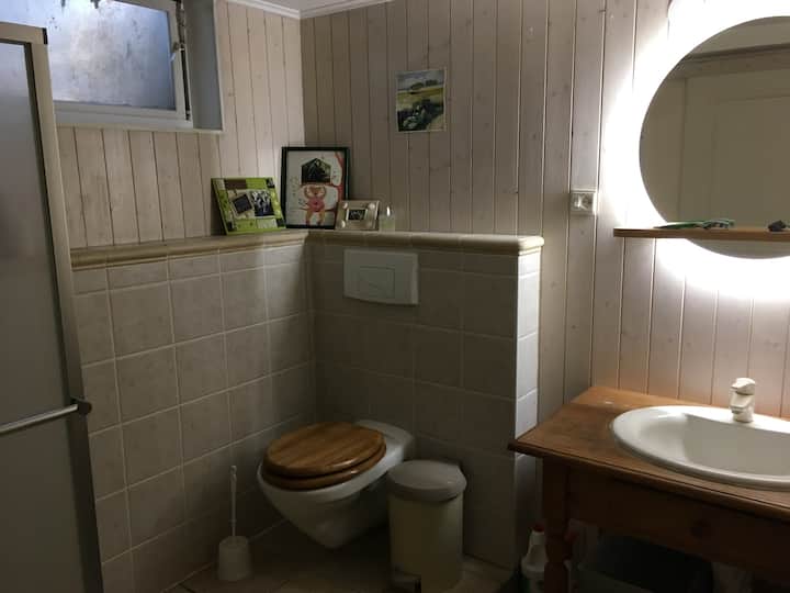 Chambre Avec Salle De Bain Privative - Mulhouse