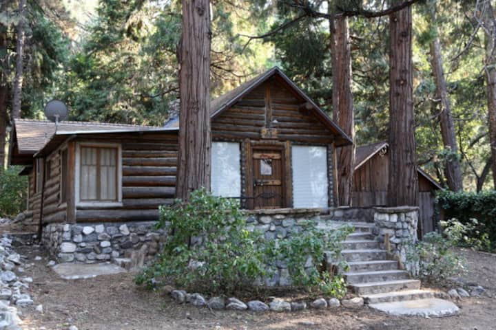 Forest Falls Cabin Rentals | Cabins and More | Airbnb
