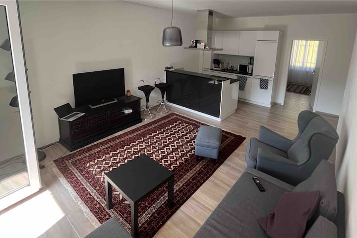 Beautiful Apartment Near The Rhine & City Center - Basilea