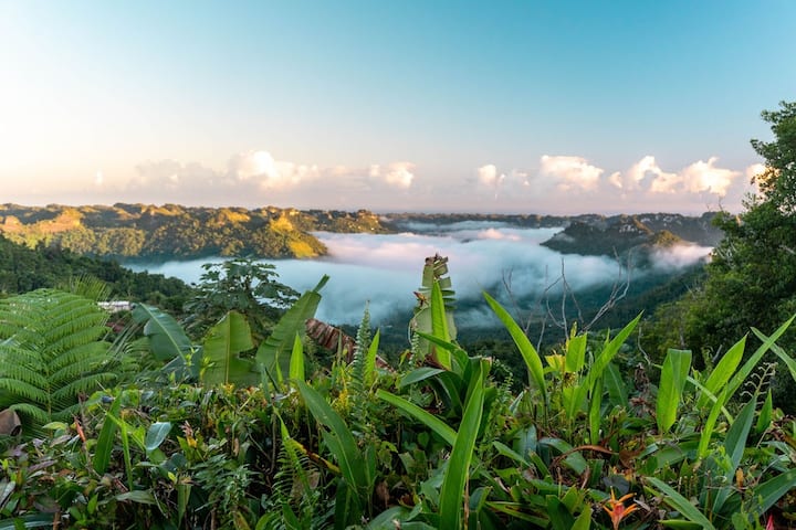 Private Room In Paradise - River, Wi-fi,bonfire(7) - Utuado