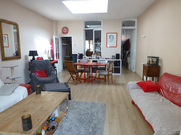 Jolie Maison Spacieuse Et Lumineuse - Lille