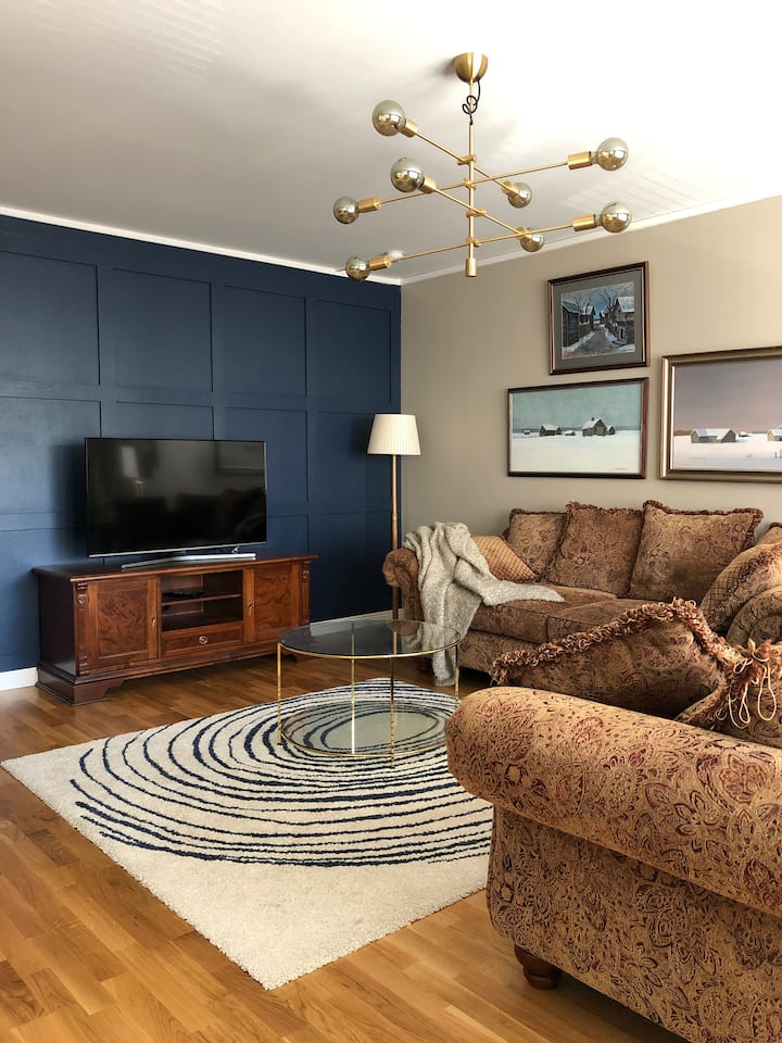 Viihtyisä Kolmio Oulun Ydinkeskustassa - Oulu