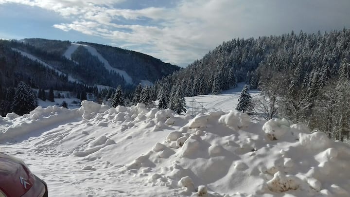 Appartement Vue Sur Tourbière Et Pistes De Ski 2 * - Lac de Retournemer
