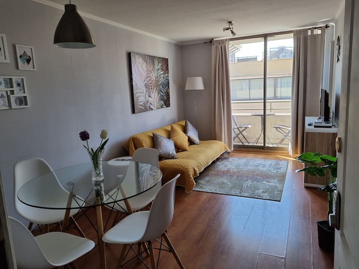 Acogedor Departamento En El Centro De La Ciudad - Santiago