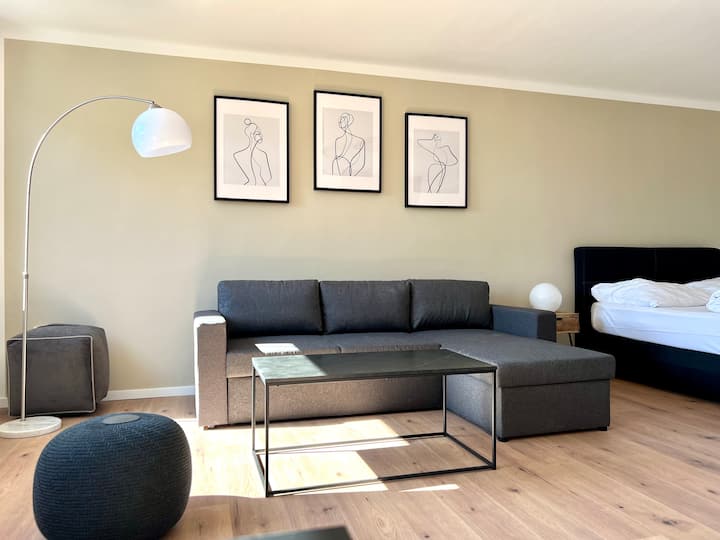 Spacious City Apartment On The Promenade - 卡塞爾