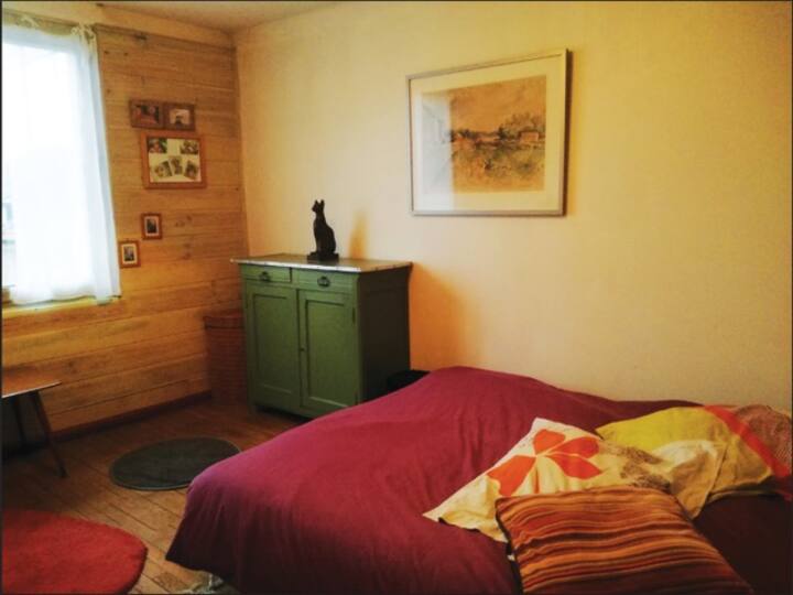 Appartement Très Lumineux Maison Particulière - Vandœuvre-lès-Nancy