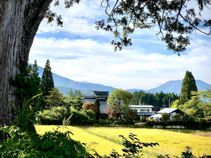 Japanese Modern Classical Style - Nagano