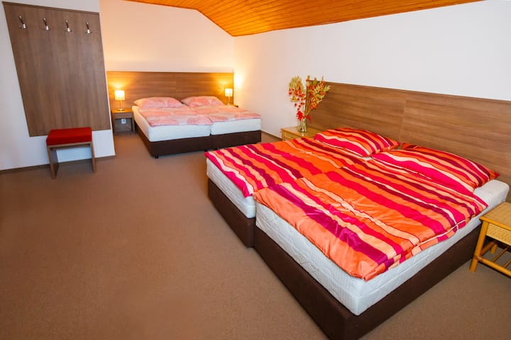 Podkrovní Apartmán S Terasou (Max 9 Os.) - Bodenmais