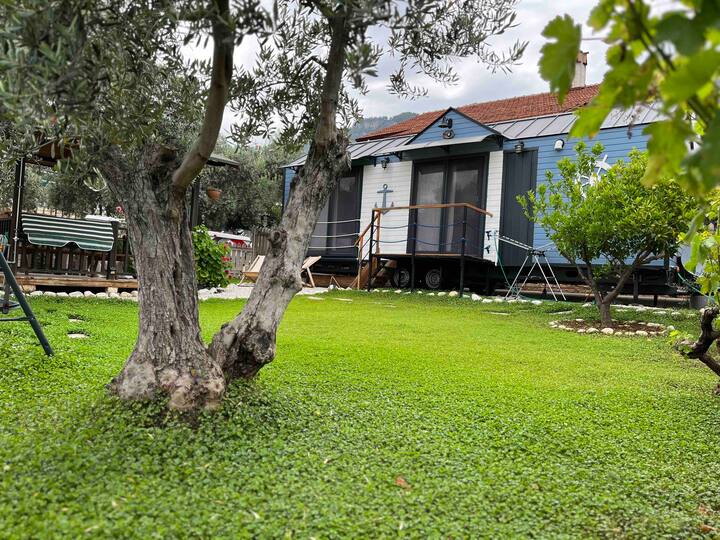 Akyaka Tiny House, Tiny Marine, AhÅŸap Ev, Bungalow - Akyaka
