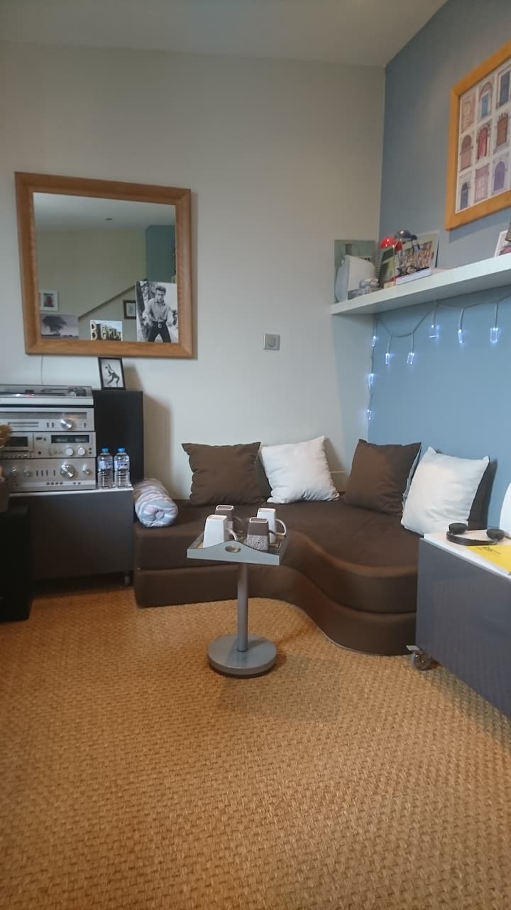 Maison Lumineuse Jardin Des Plantes - Rouen