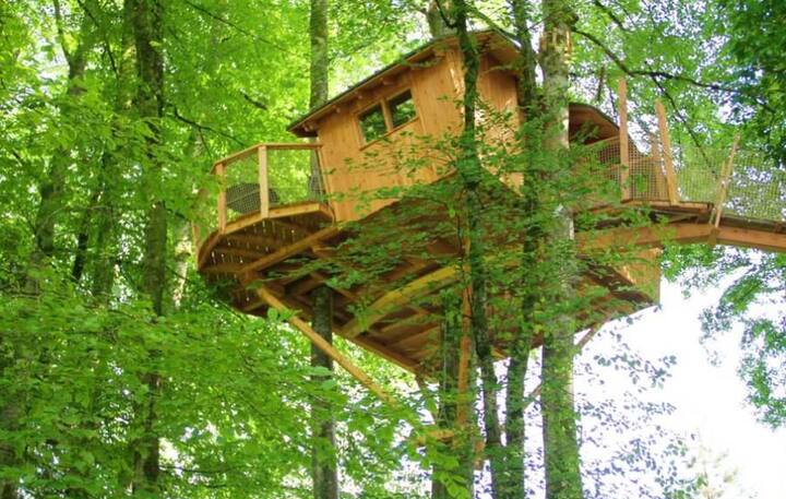 Cabane Dans Les Arbres, La Sarrazine - Champagnole