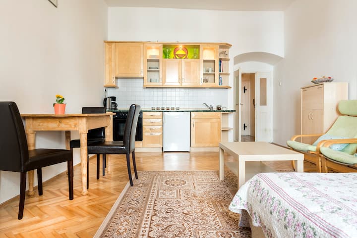 Studio Loretánská No.5 / 150m From Prague Castle - Prague Václav Havel Airport (PRG)