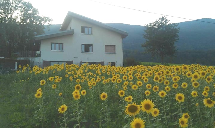 2 Adultes 2enfants  / Ou 3 Adultes/ 2 Ch 2 Lits - La Motte-Servolex