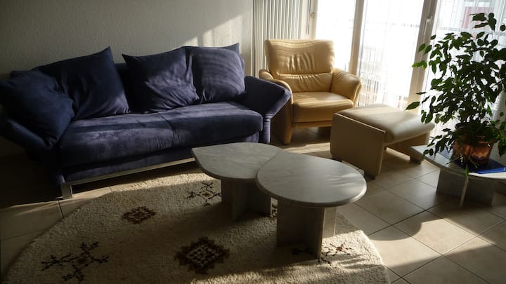 Ferienwohnung Baselworld - Grenzach-Wyhlen