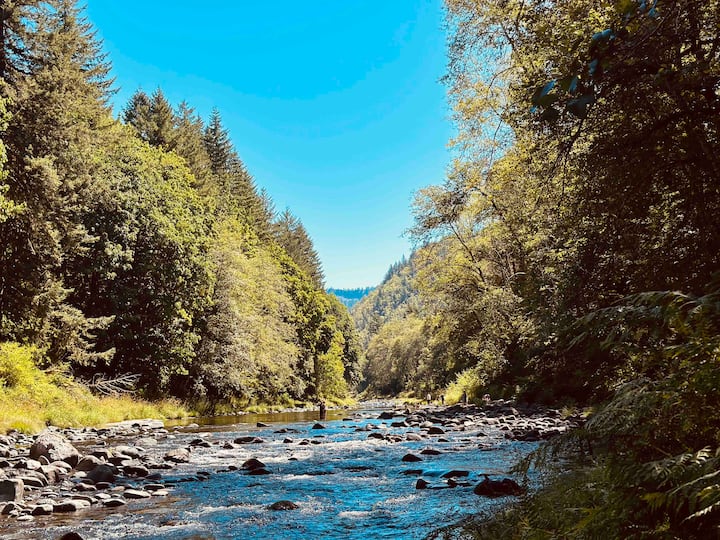 Bear Creek Retreat, Riverfront Home In The Forest - Oregon